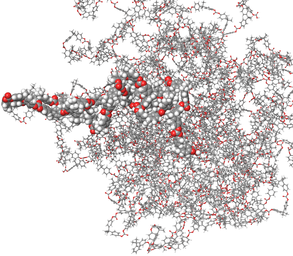 Force Field Builder | Schrödinger Life Science